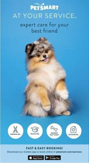 6 Emotions to Inspire in Your Ads | Celtra